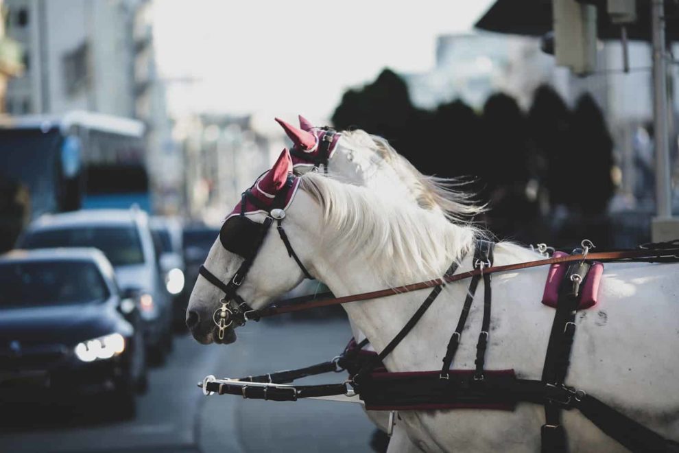 KW in PS umrechnen schnell und einfach | Wiladu